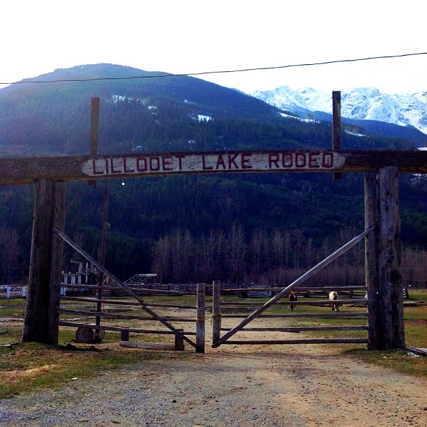 Instagram Gallery Update – The Wellness Almanac