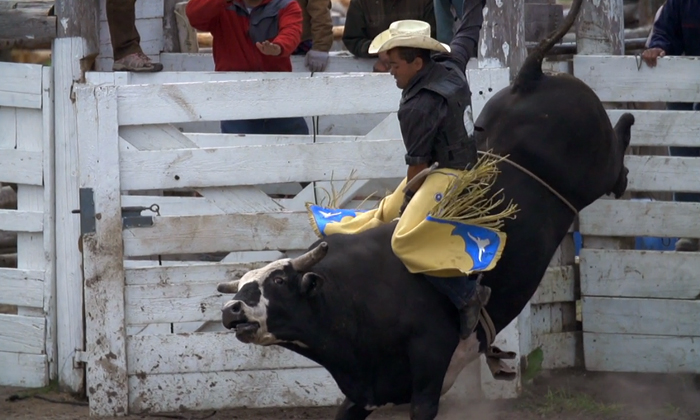 Video: Lillooet Lake Rodeo – The Wellness Almanac