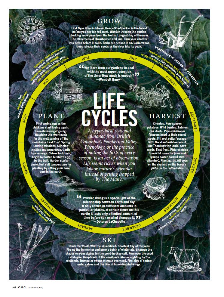 Celebrating Cycles – The Wellness Almanac