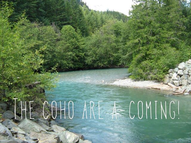 River Watch: Update with Maxine Joseph Bruce – The Wellness Almanac