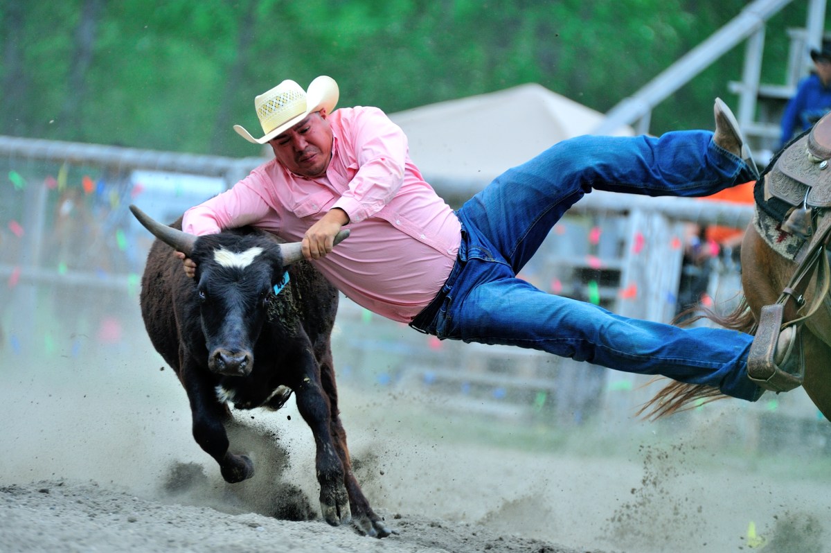 Photo of the Week: Dave Steers – The Wellness Almanac