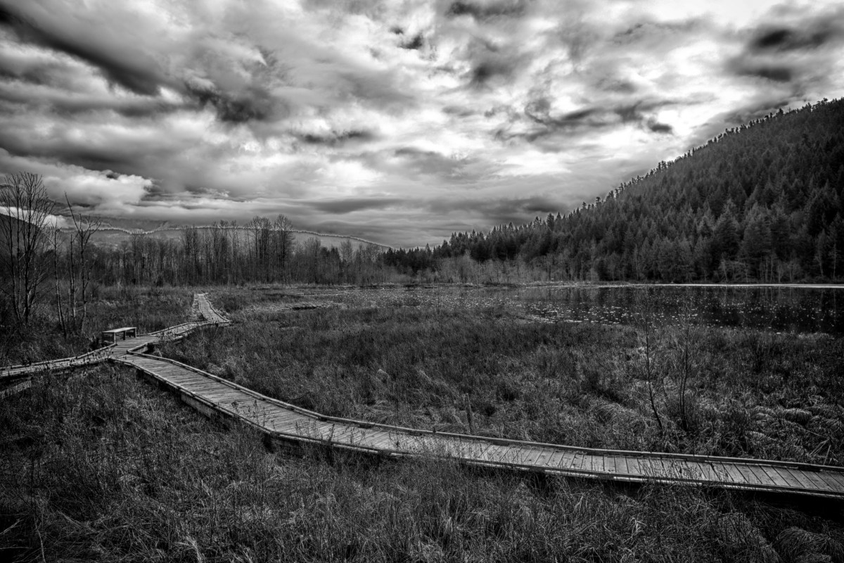 Photo of the Week: Dave Steers – The Wellness Almanac