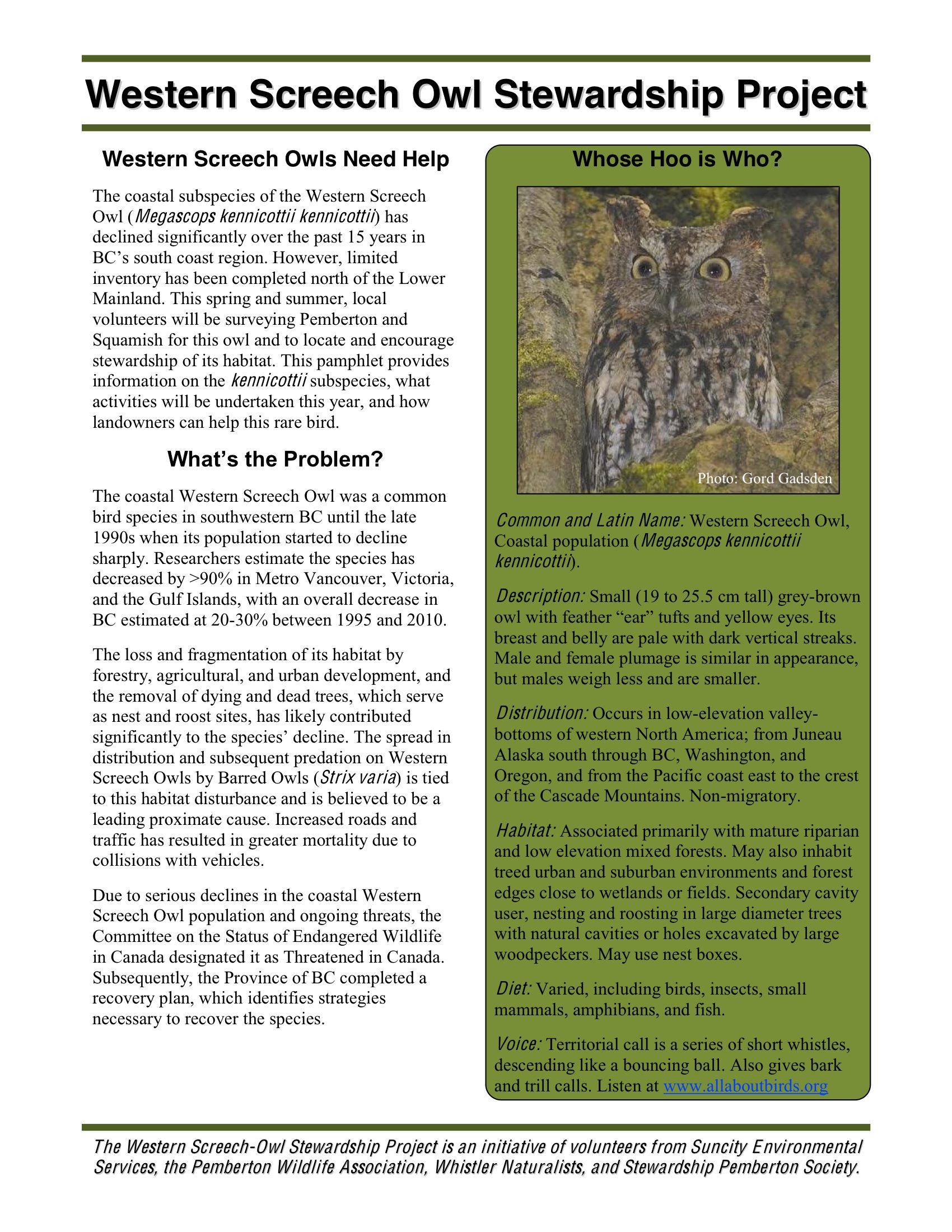 Owl lovers, volunteer surveyors are wanted to count Western Screech Owl ...