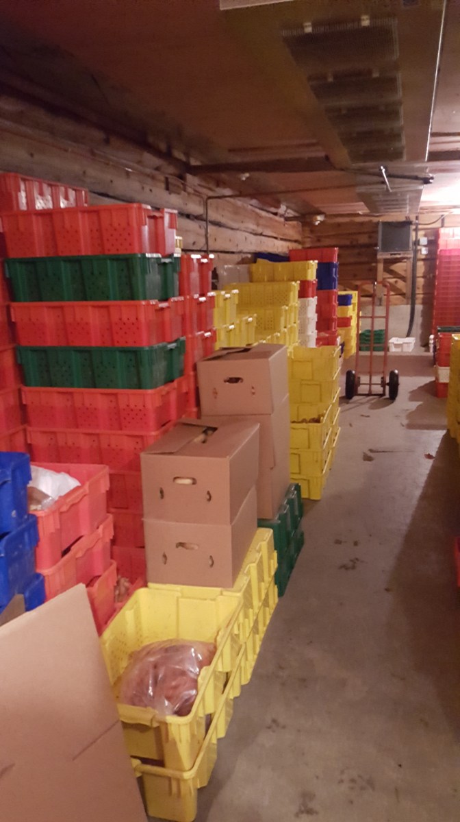 Anna Helmer’s creative non-fiction column for the New Year: Personal ...