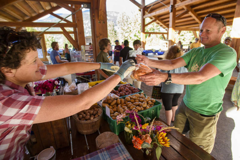 Anna Helmer wonders which Big Issue to take a crack at today – The ...