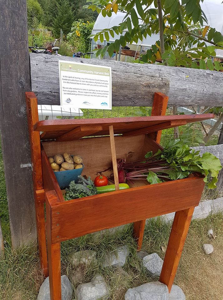 Deposit your garden bounty here: New Harvest Box installed at the ...