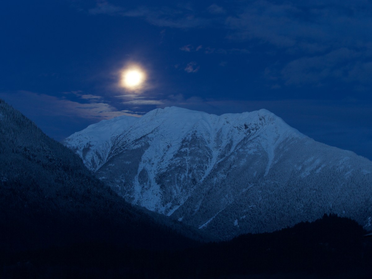 Moon Bloom? – The Wellness Almanac