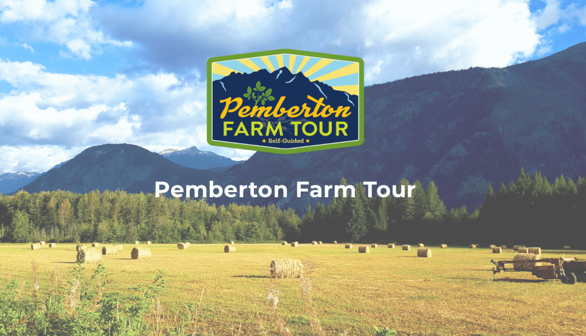 Send your out of town visitors on a Pemberton Farm Tour – The Wellness ...