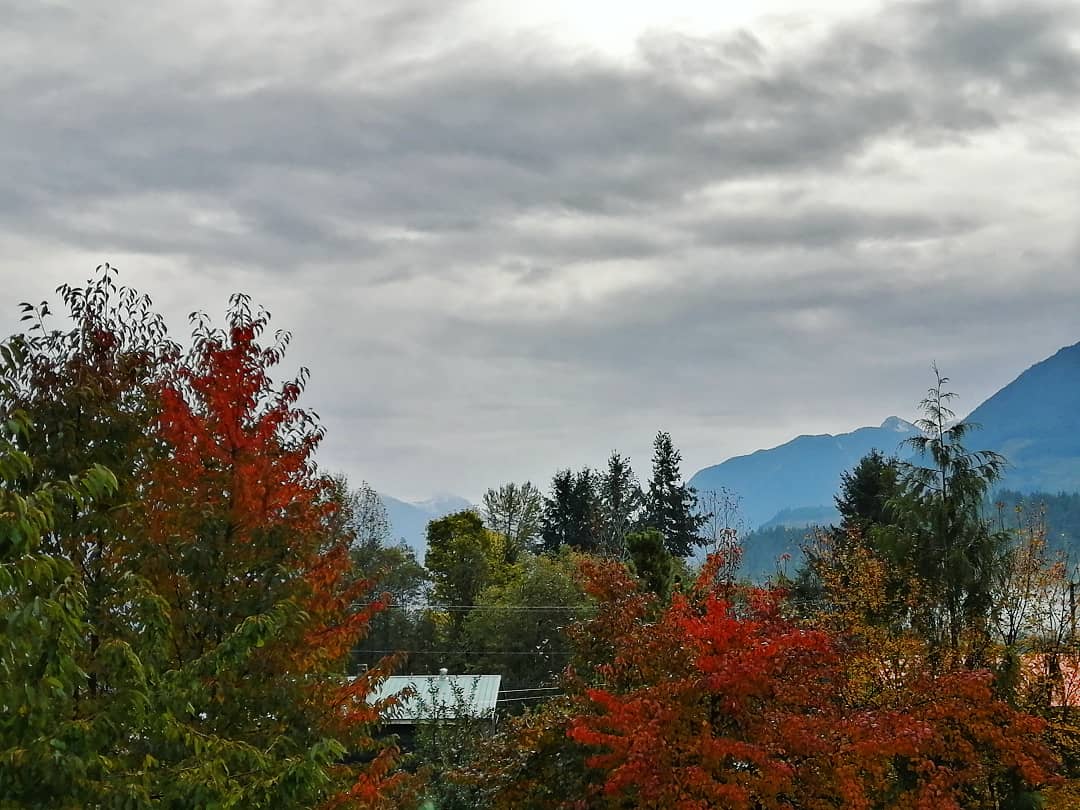 Fall Winds – The Wellness Almanac