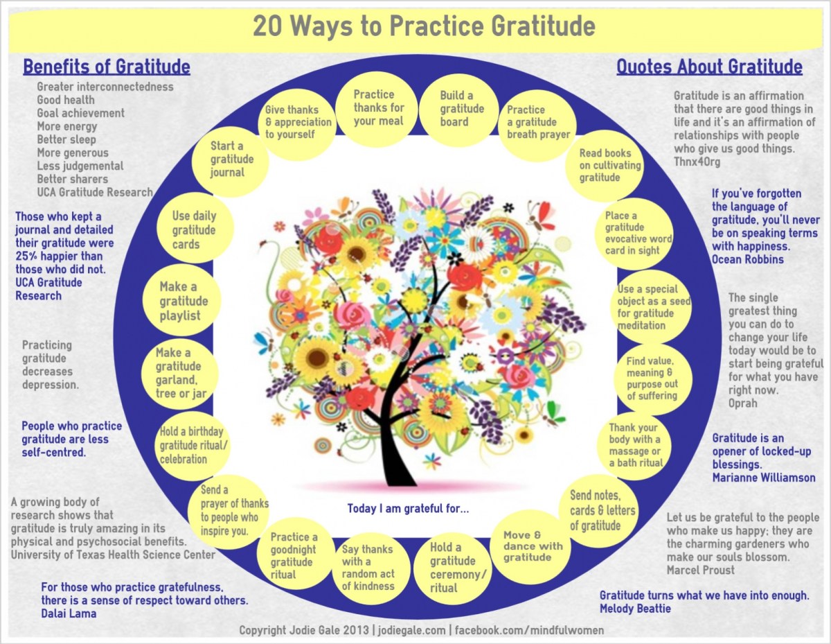 Take a spin on the Gratitude Wheel – The Wellness Almanac
