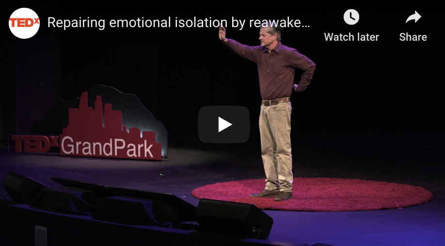 Now I know why I’m always sharing bird photos. This TED talk explains ...